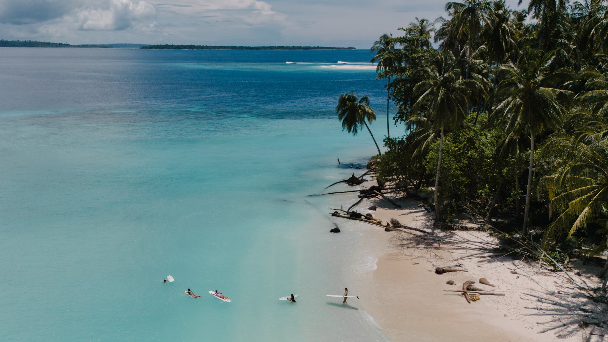 Noserider Surf Club: Handmade Surfing Swimwear