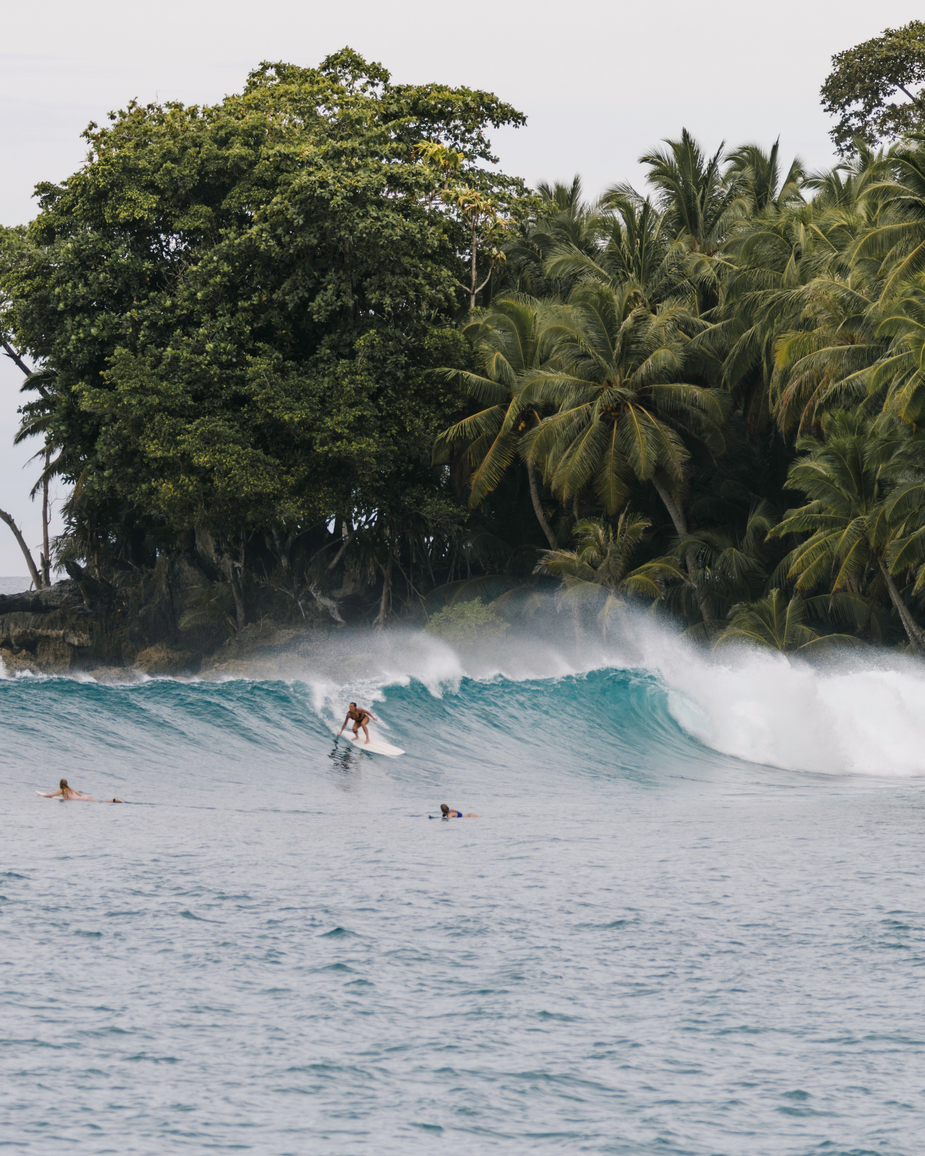 Classic Long-Sleeve Surf Suit in Lavender - Women's Surf Swimsuit ...